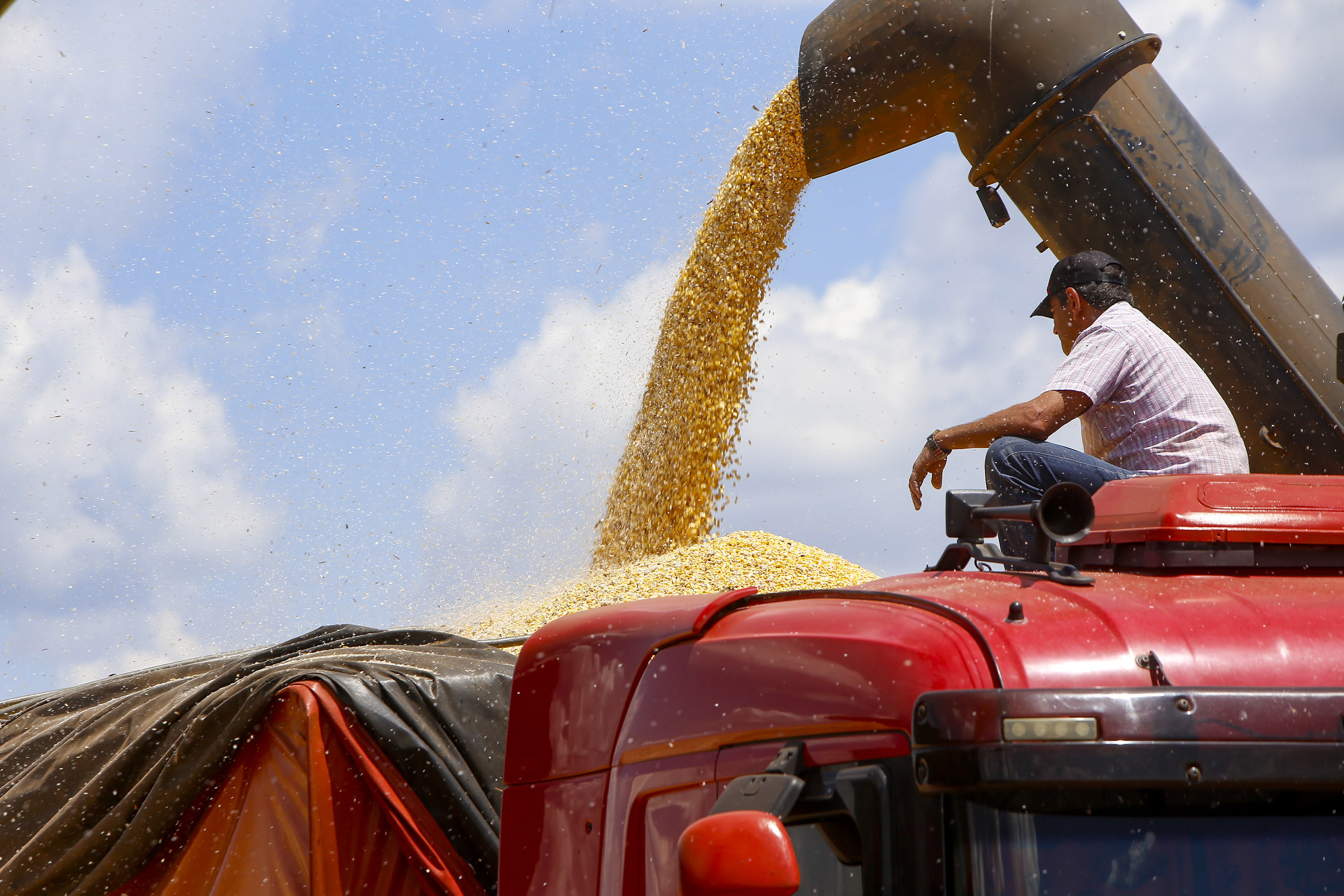 VBP Agropecuário do PR cresce 11% em 2023 e alcança R$ 197 bilhões ...